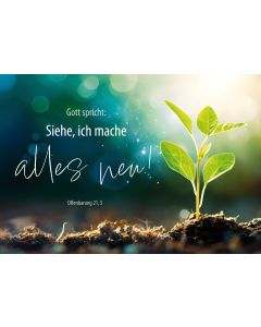 Neuheiten von ALPHA Buch - Neue christliche Bücher